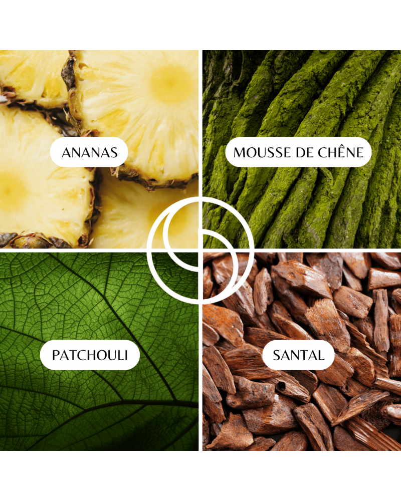 Eau de toilette pour Homme leader LEXUS | Hespéridé/Frais